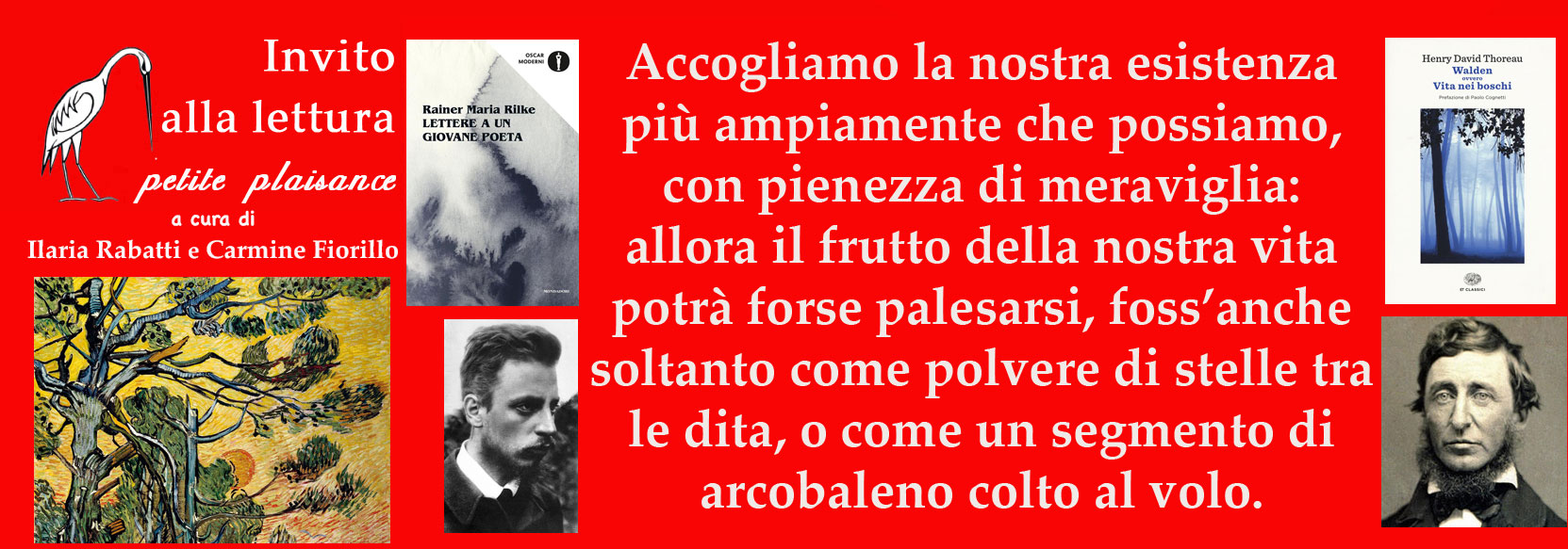 Accogliamo la nostra esistenza più ampiamente che possiamo, con ...